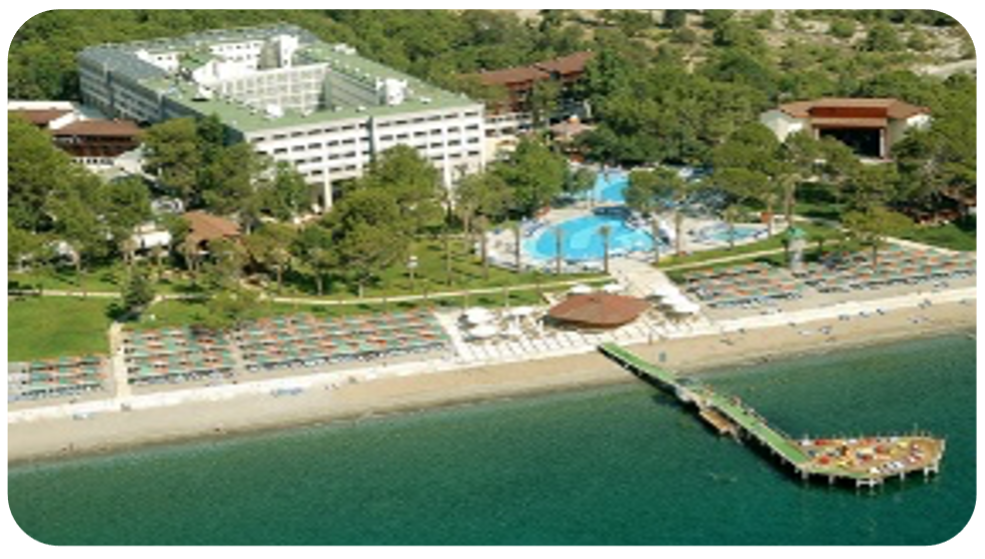 AKSA POWER GENERATION - INGENIERIA DE PLANTAS ELECTRICAS